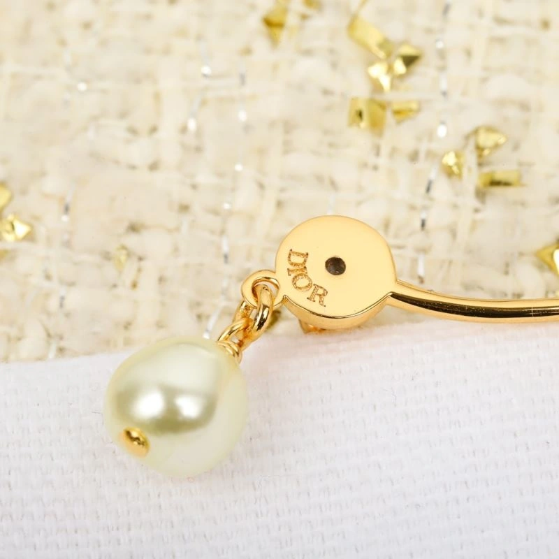 Cut-rate Christian Dior Earrings