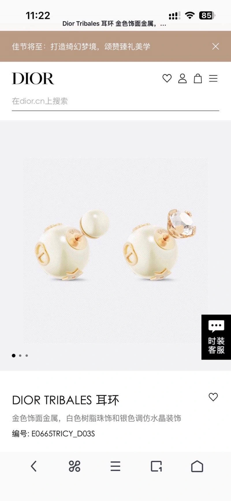 Exact replica Christian Dior Earrings