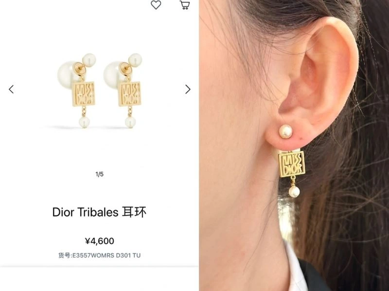 Accurate model Christian Dior Earrings