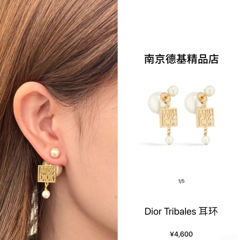 Accurate model Christian Dior Earrings