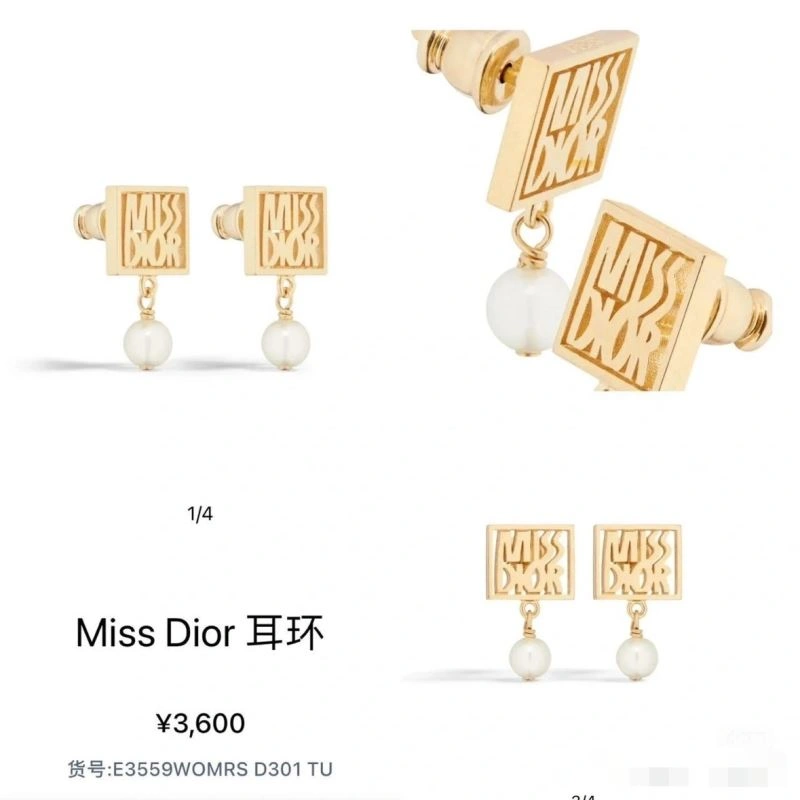 Christian Dior Earrings