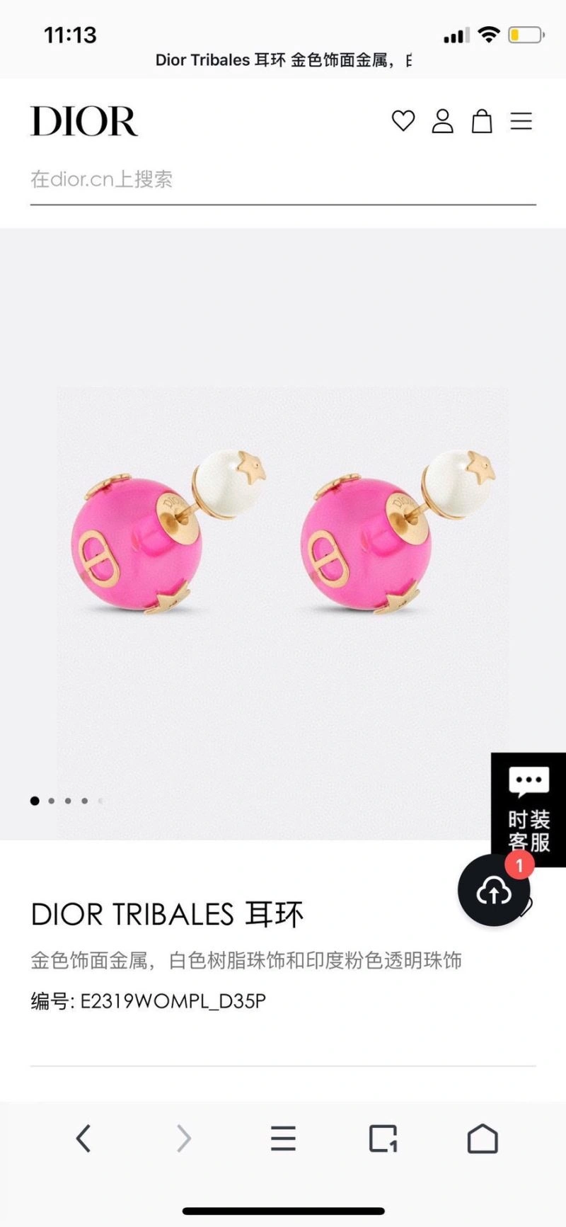 Brand-original Christian Dior Earrings