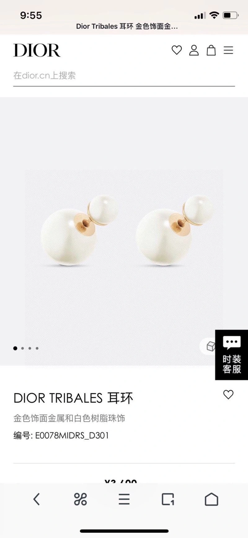 OEM Christian Dior Earrings