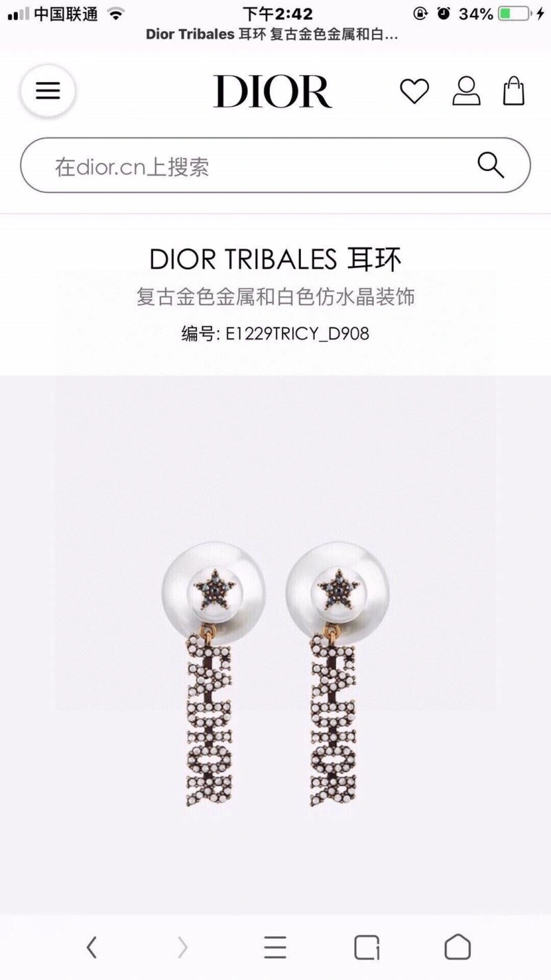Brand-original Christian Dior Earrings