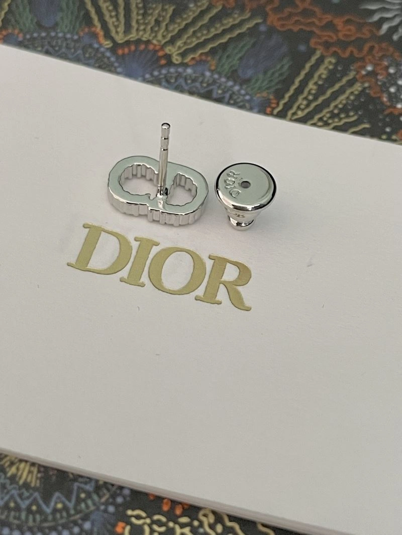 High accuracy Christian Dior Earrings