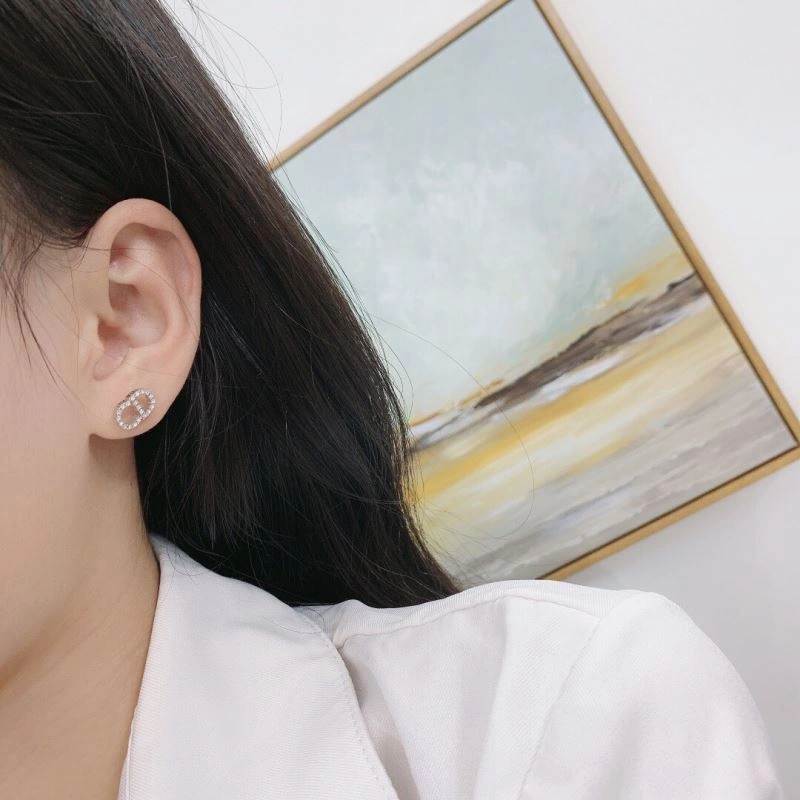 High accuracy Christian Dior Earrings