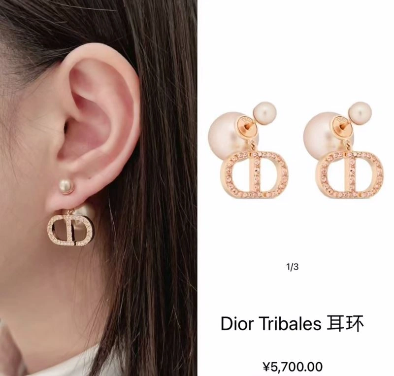 1:1 copy Christian Dior Earrings