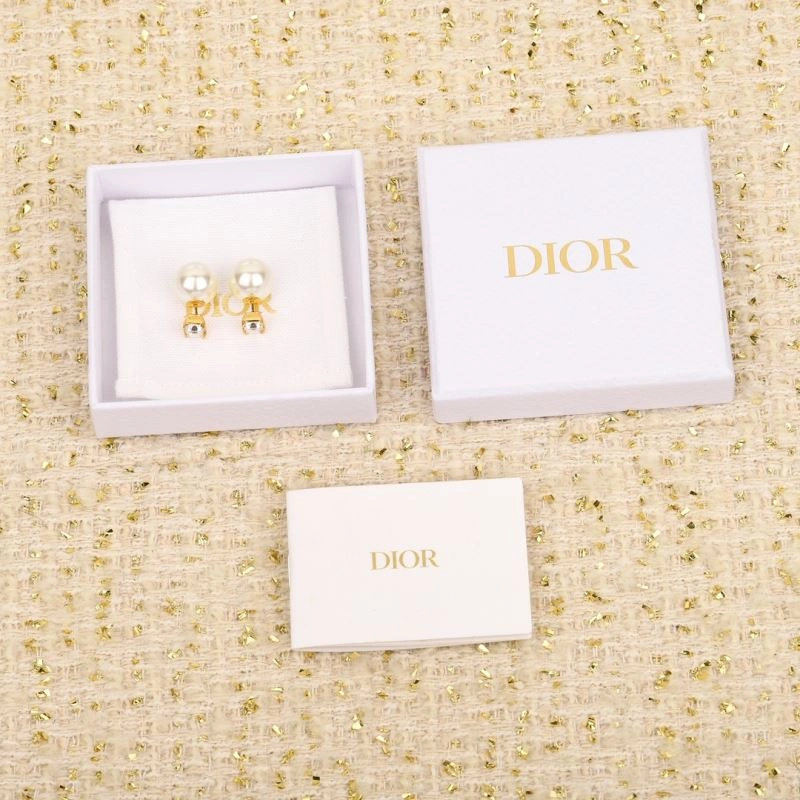 Christian Dior Earrings