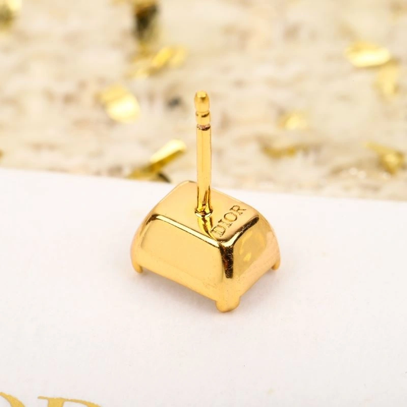 Brand-original Christian Dior Earrings
