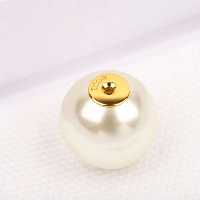 Brand-original Christian Dior Earrings