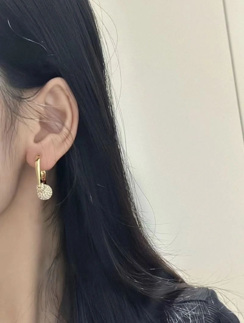 Factory-made Christian Dior Earrings