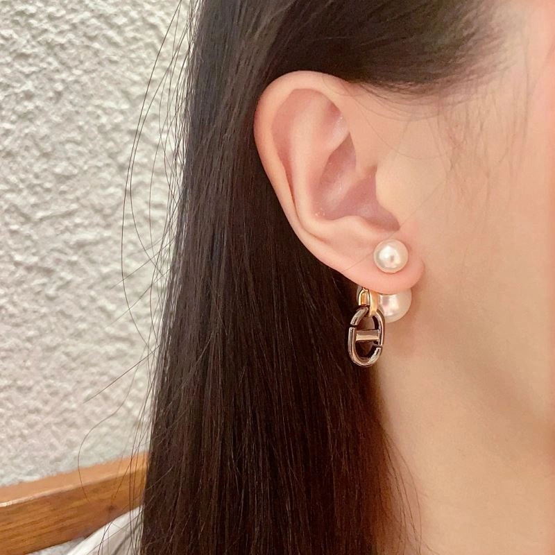 Mirror quality Christian Dior Earrings