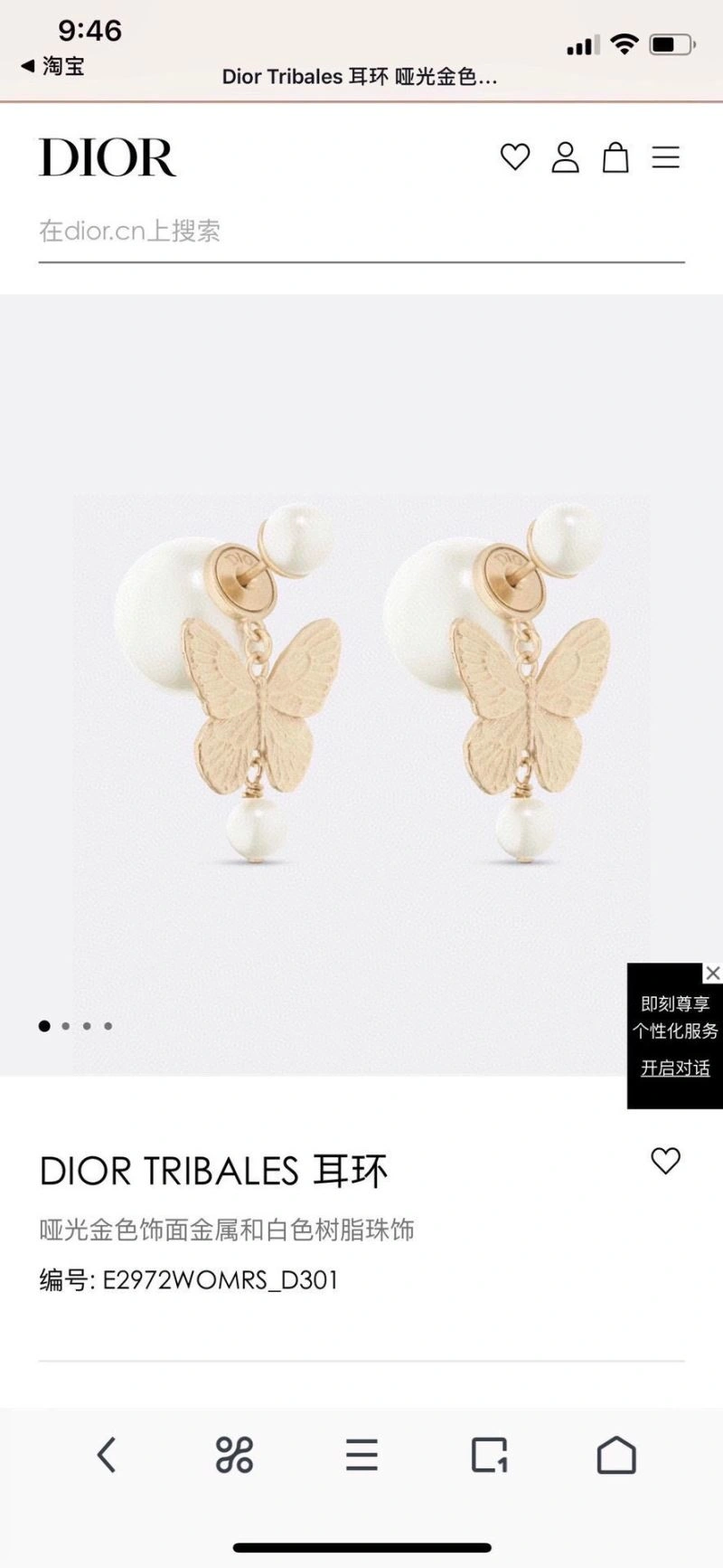Cut-rate Christian Dior Earrings