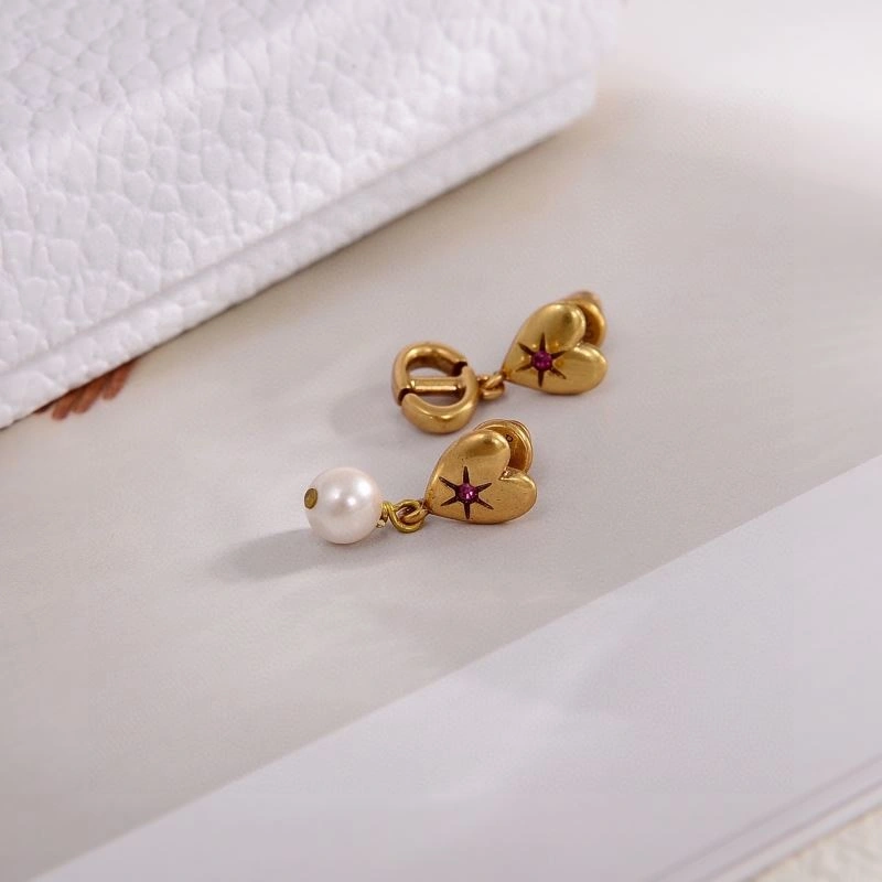 High accuracy Christian Dior Earrings
