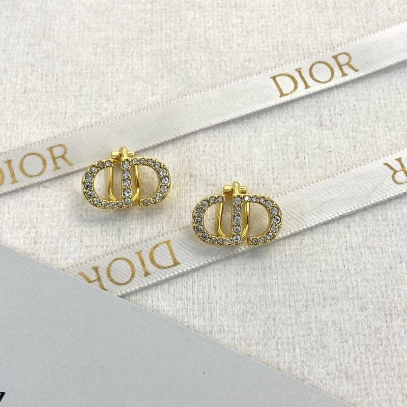 High accuracy Christian Dior Earrings