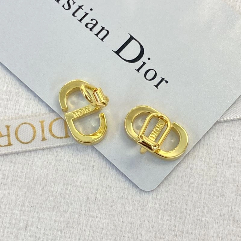 High accuracy Christian Dior Earrings