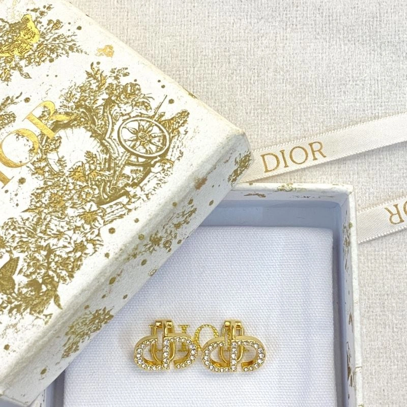 High accuracy Christian Dior Earrings