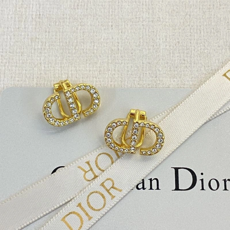 High accuracy Christian Dior Earrings