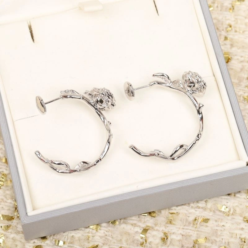 Legit Christian Dior Earrings