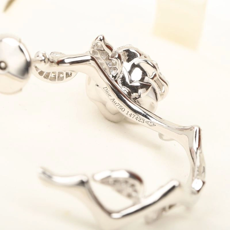 Legit Christian Dior Earrings