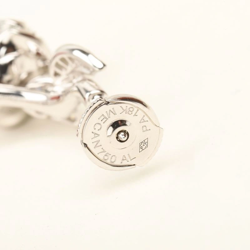 Legit Christian Dior Earrings