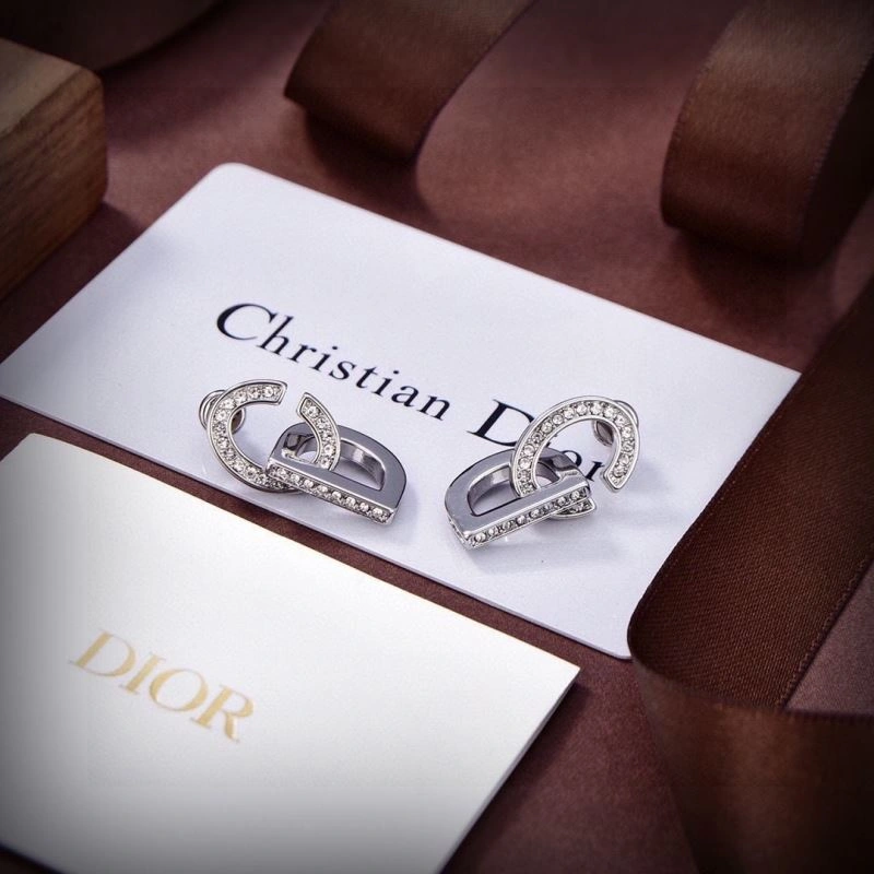 Economical Christian Dior Earrings