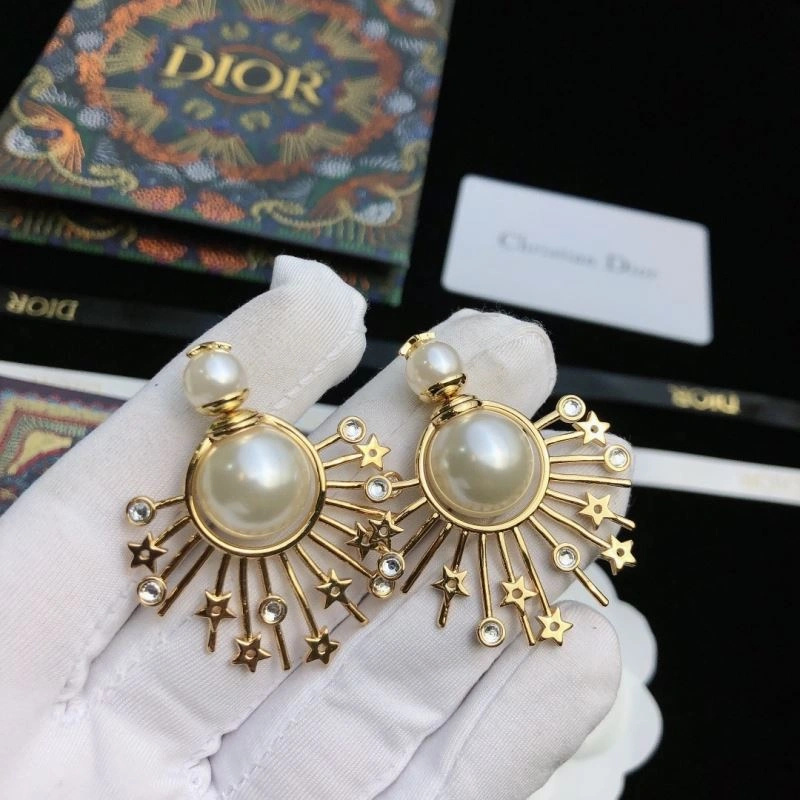 High accuracy Christian Dior Earrings