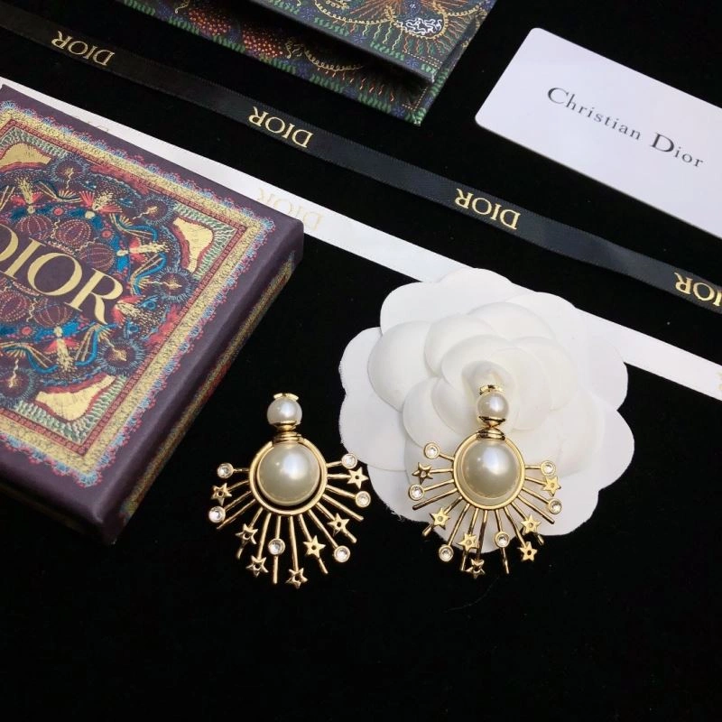 High accuracy Christian Dior Earrings