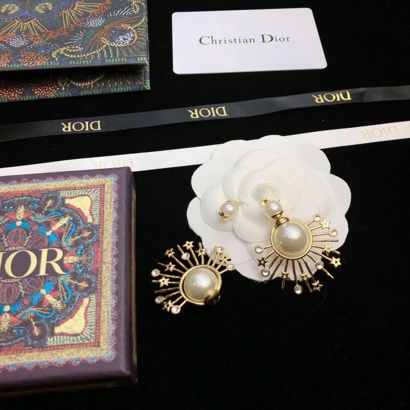 High accuracy Christian Dior Earrings