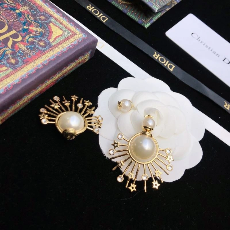 High accuracy Christian Dior Earrings