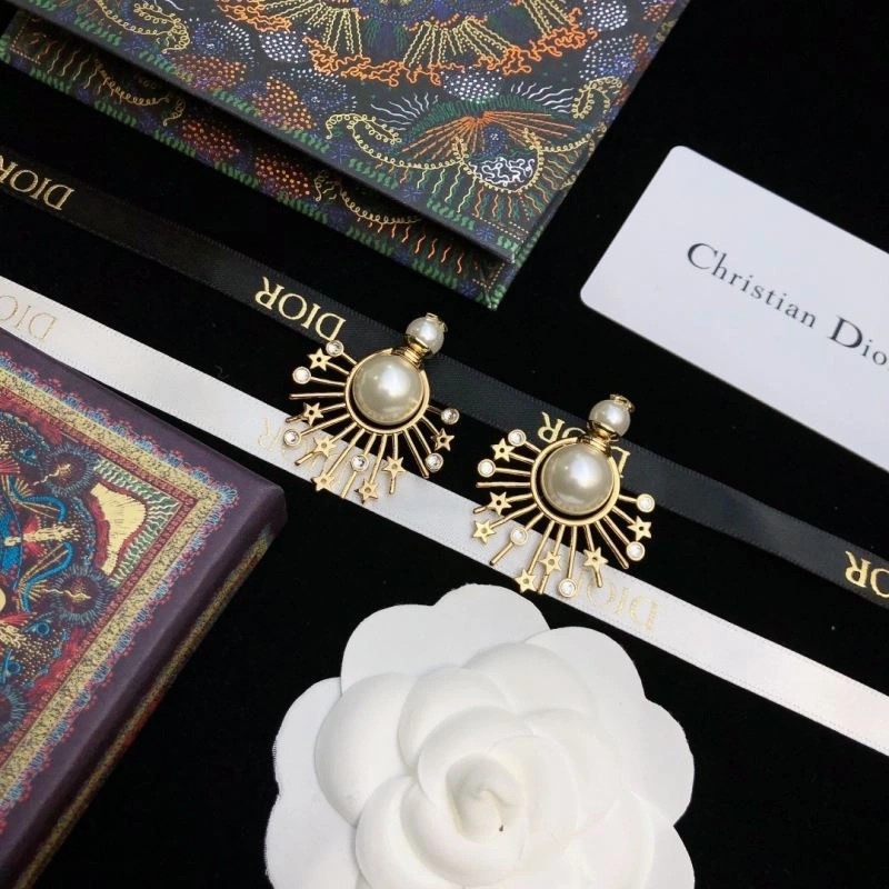 High accuracy Christian Dior Earrings