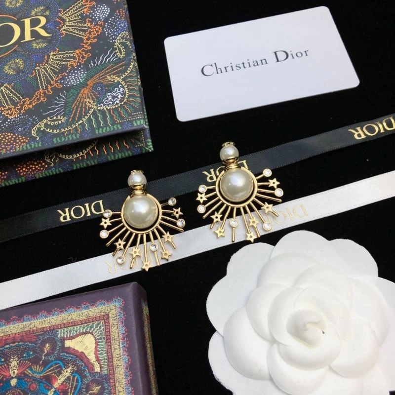 High accuracy Christian Dior Earrings