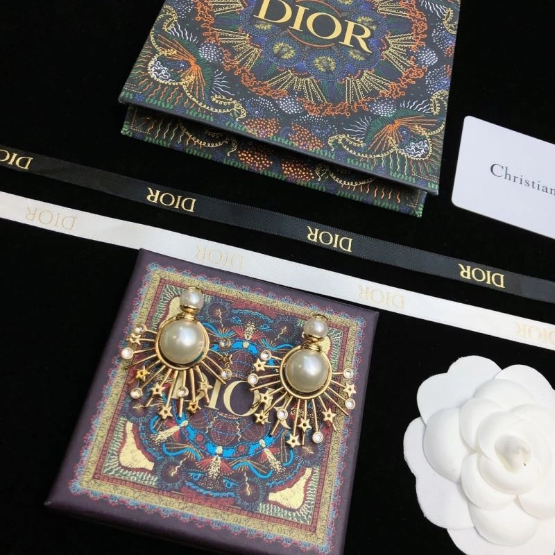 High accuracy Christian Dior Earrings