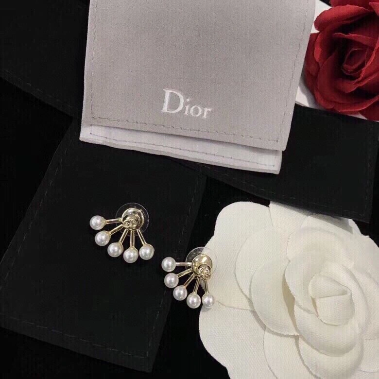 Accurate model Christian Dior Earrings