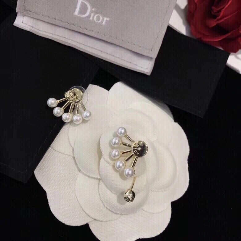 Accurate model Christian Dior Earrings