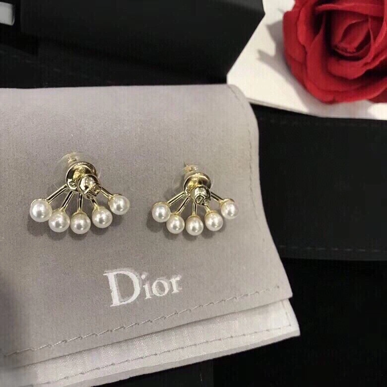 Accurate model Christian Dior Earrings