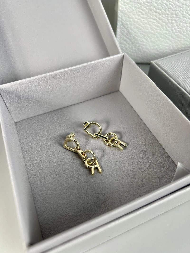 Mirror quality Christian Dior Earrings