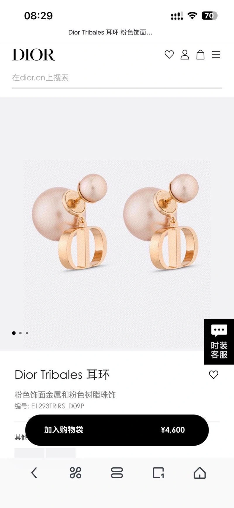 Mirror quality Christian Dior Earrings