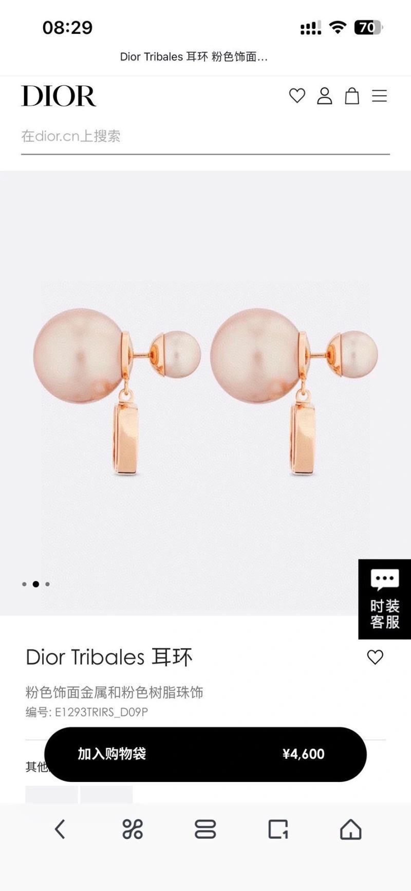 Mirror quality Christian Dior Earrings