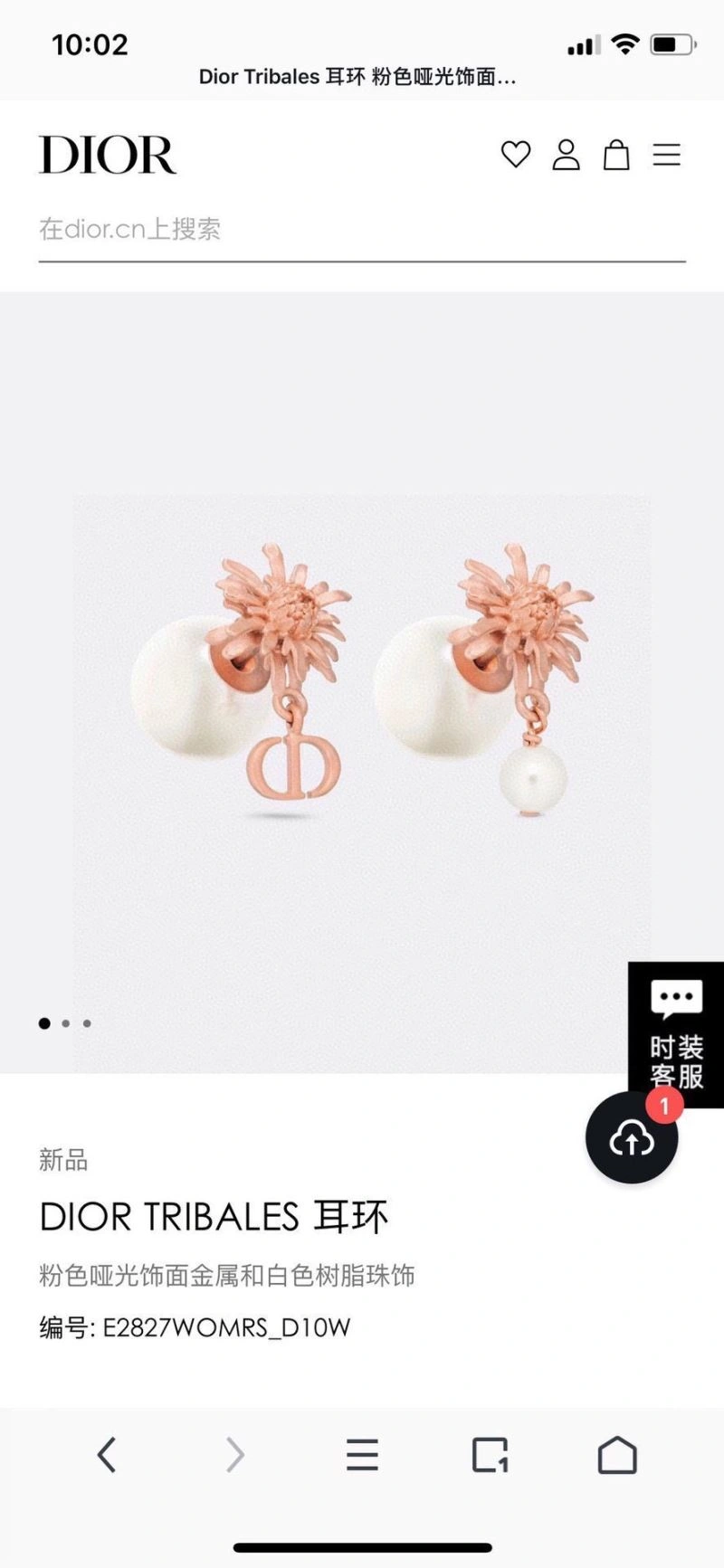 Low-cost Christian Dior Earrings