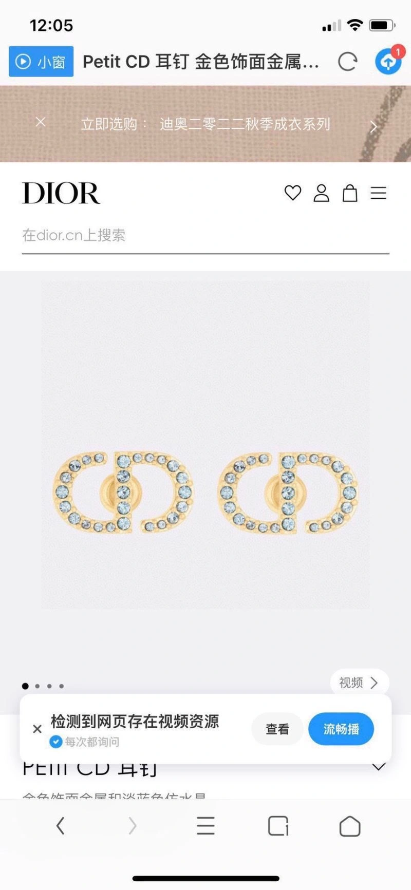 1:1 copy Christian Dior Earrings