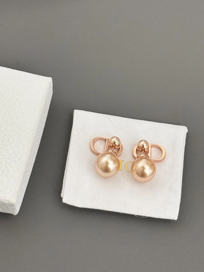 High accuracy Christian Dior Earrings