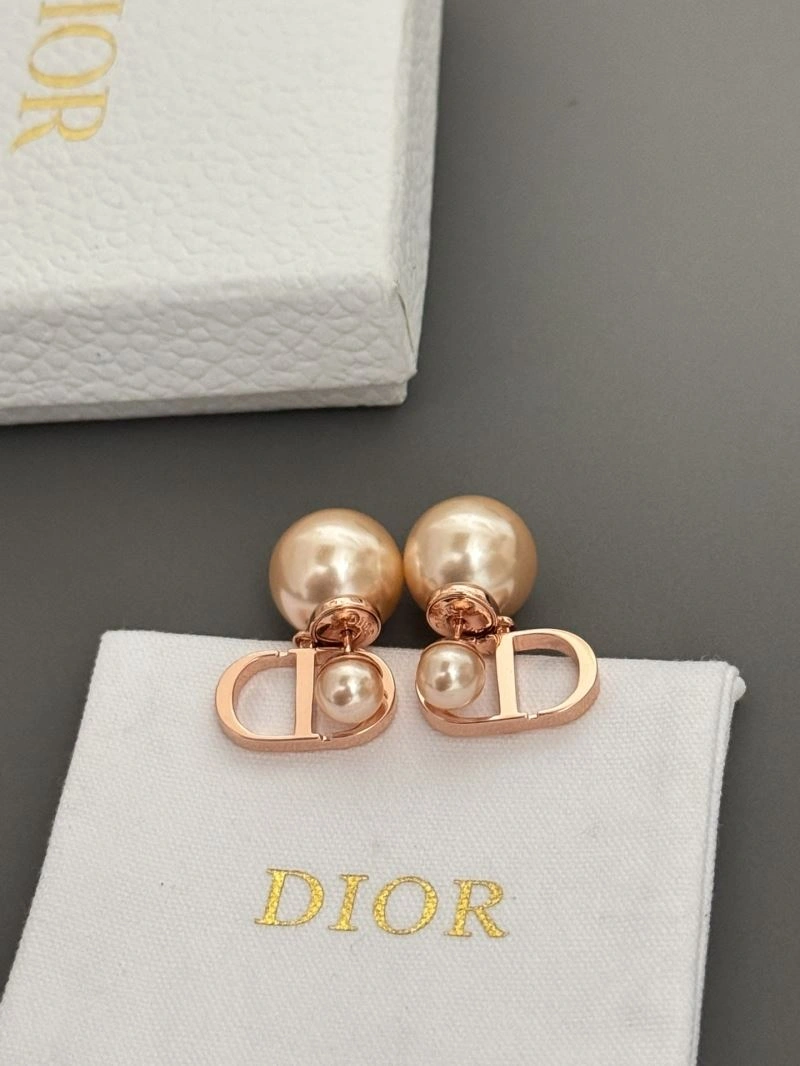 High accuracy Christian Dior Earrings