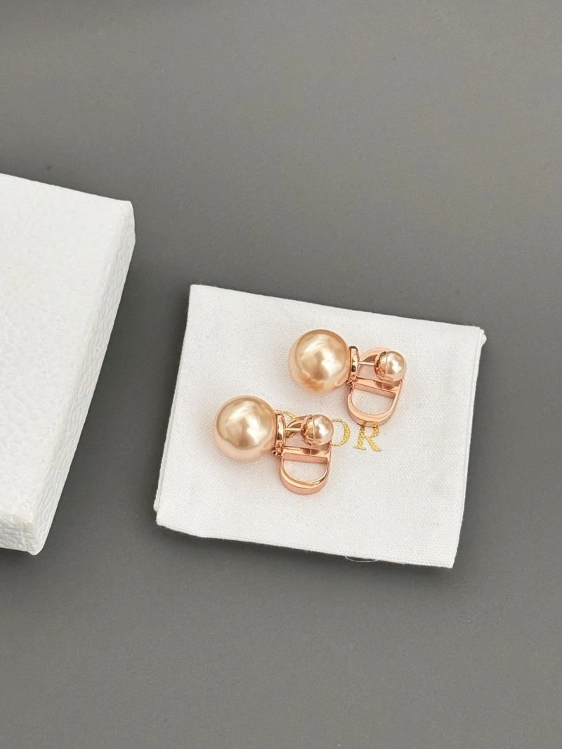 High accuracy Christian Dior Earrings