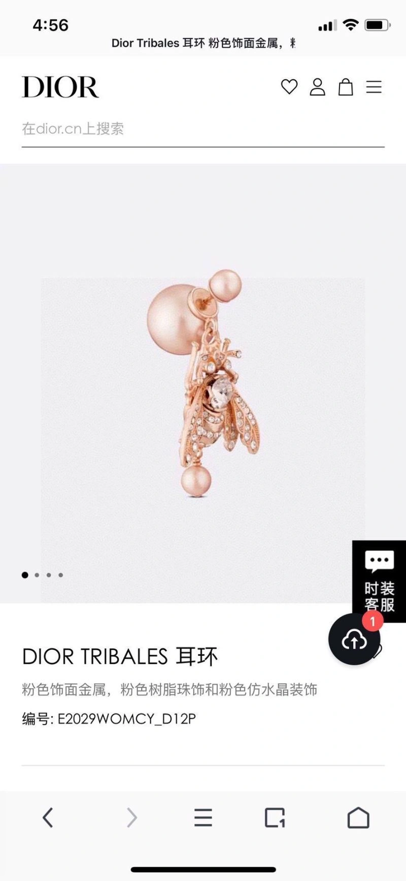 Accurate model Christian Dior Earrings