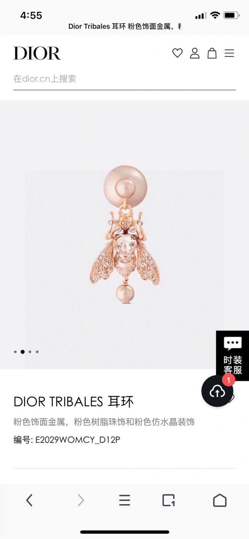 Accurate model Christian Dior Earrings