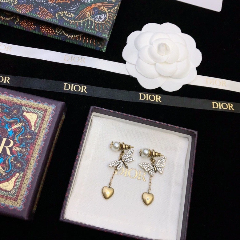Precise copy Christian Dior Earrings