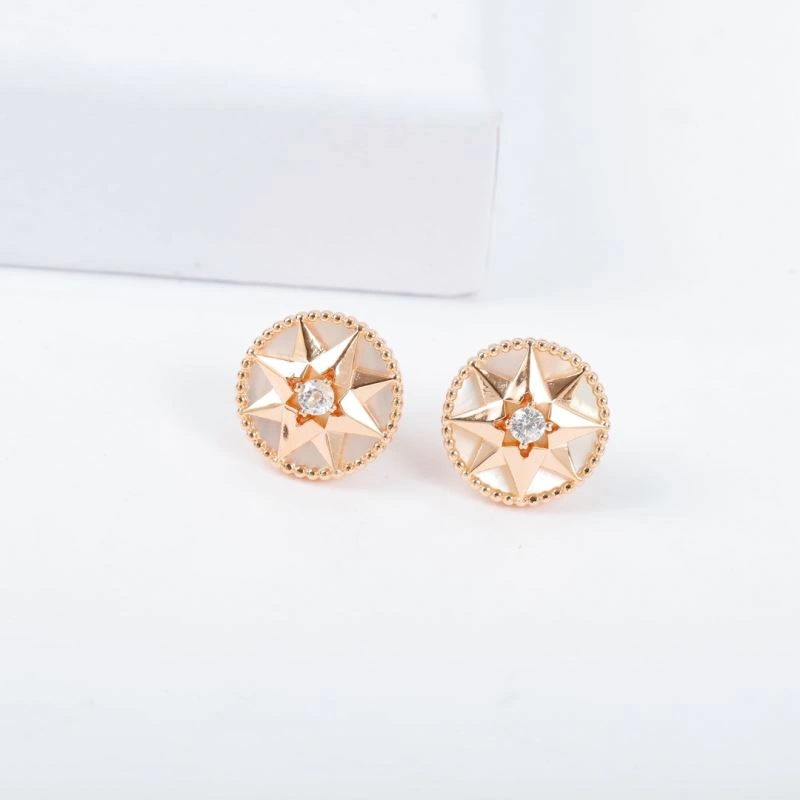 Economical Christian Dior Earrings