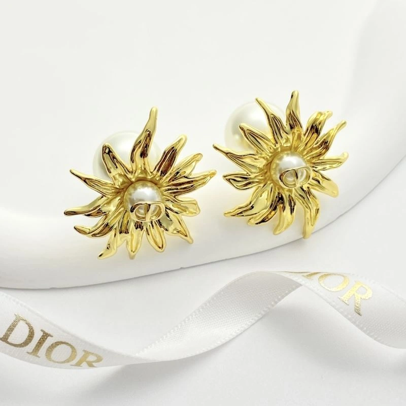 Brand-original Christian Dior Earrings