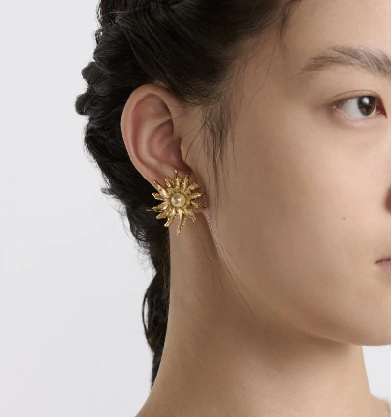 Brand-original Christian Dior Earrings